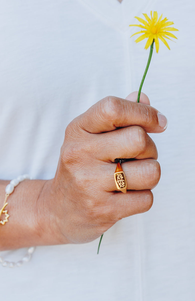 Steadfast Service Baha'i Ringstone Ring – narijewelry